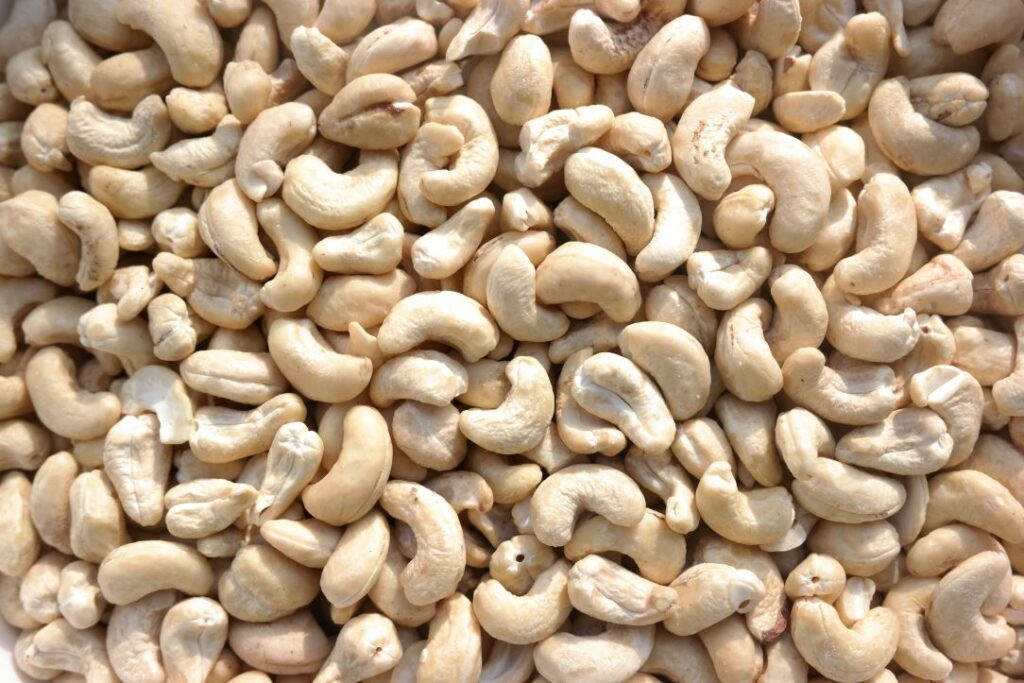 Noix de cajou brute - Carvrac